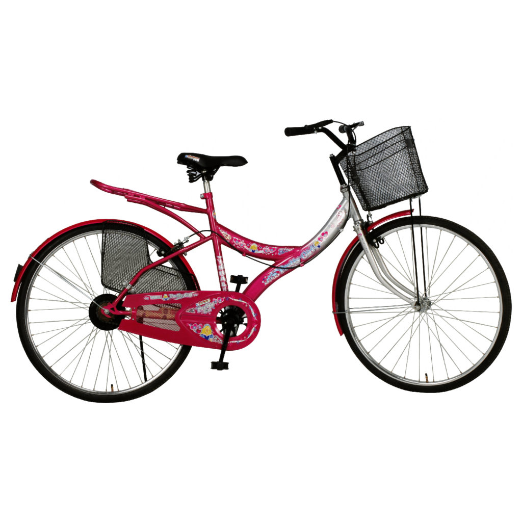 COMPLETE BICYCLES – Eastman Industries Limited